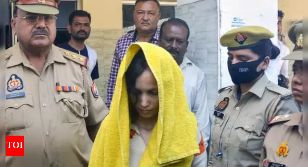 Meerut murder: Muskan Rastogi seeks govt lawyer, says family has ...