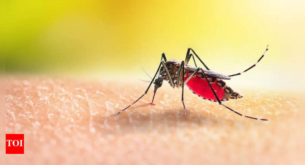 Dengue Fever Symptoms: CDC alerts about dengue fever threat: Know the ...