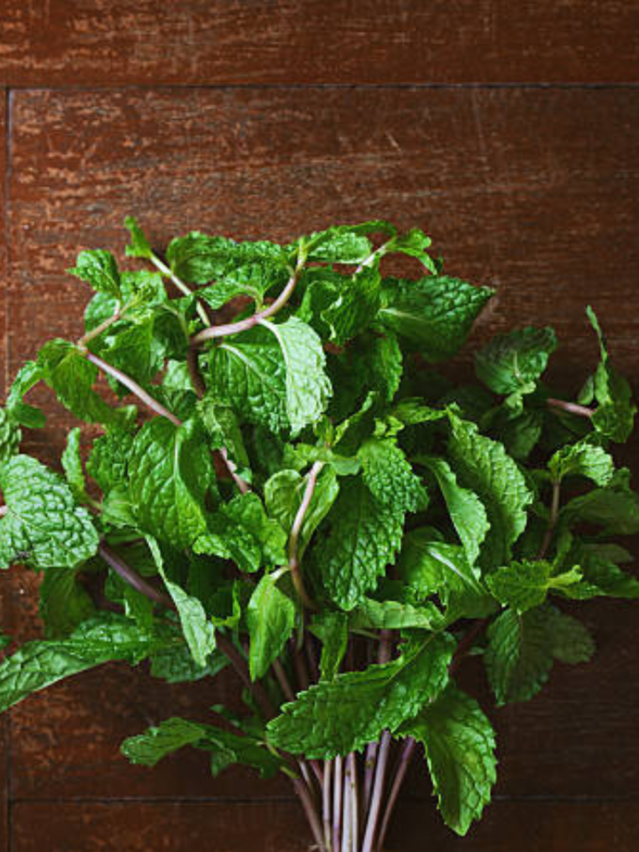 10 ways to add mint leaves to your summer diet | Times of India