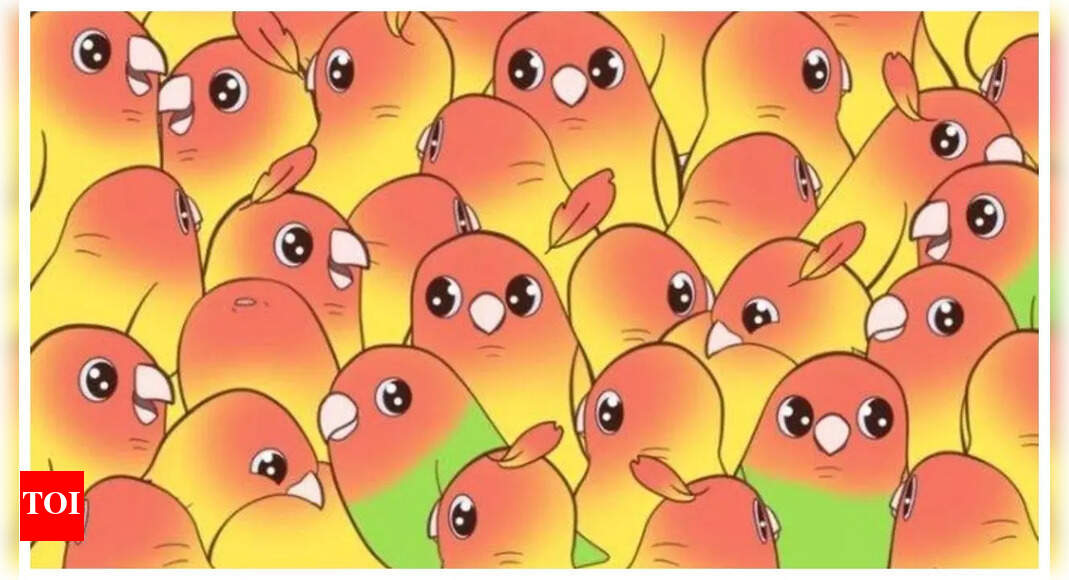 Optical illusions: Only a genius can spot a hidden mango among parrots ...