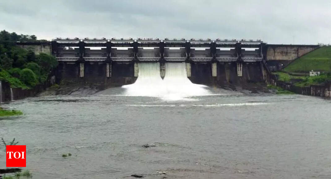 MP launches scheme to boost development pumped hydro storage projects ...