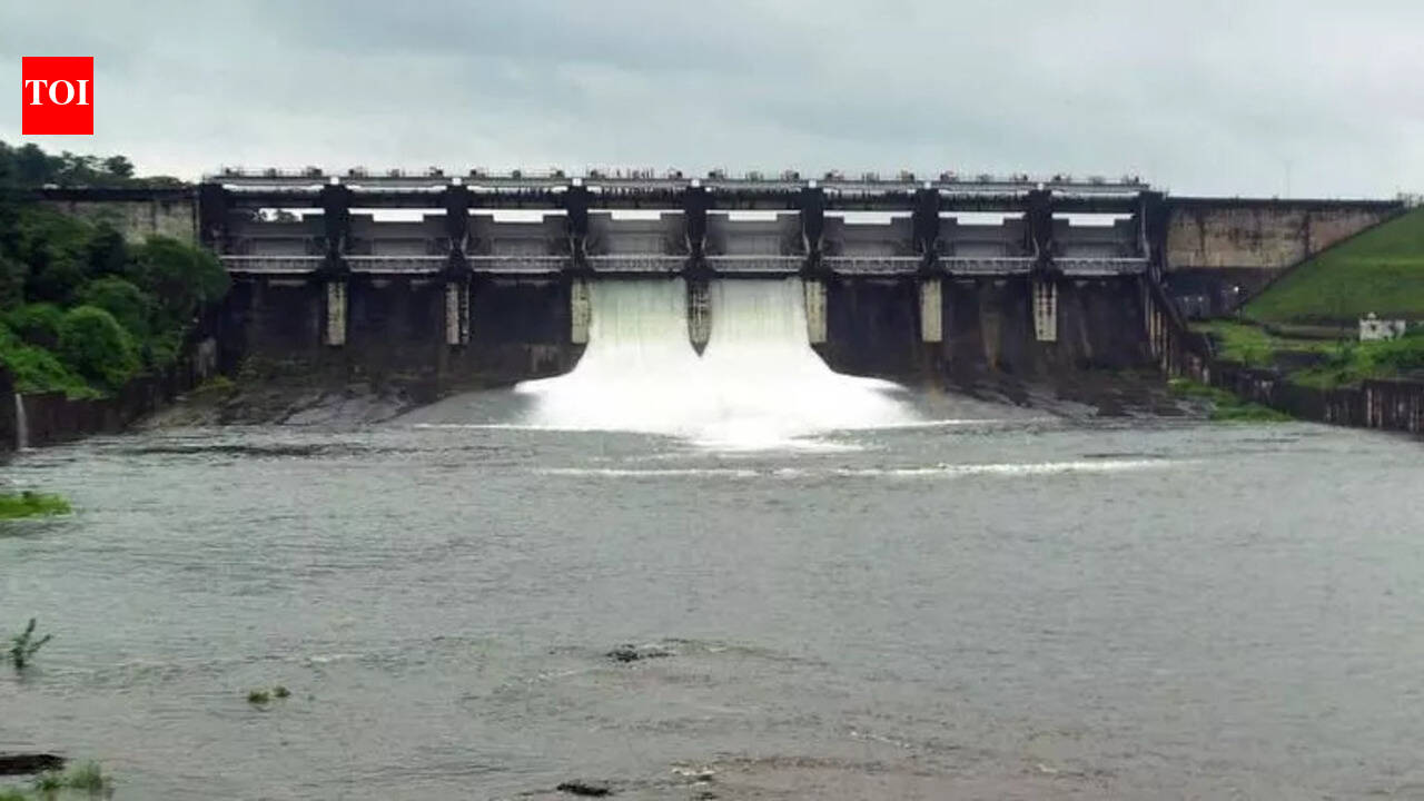 MP launches scheme to boost development pumped hydro storage projects ...