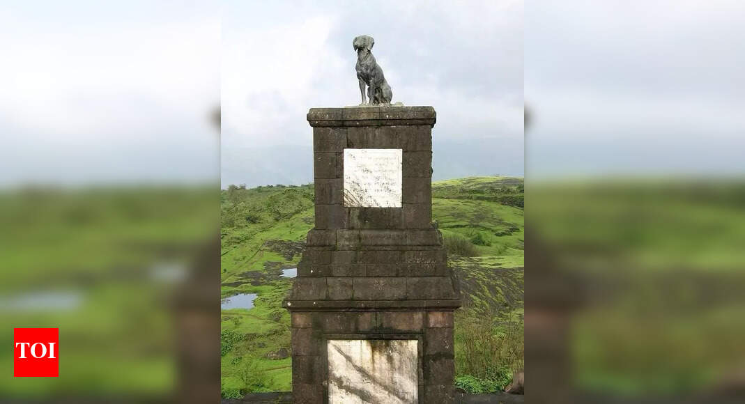 Statue of Shivaji Maharaj’s dog Waghya at Raigad: Why are such old ...