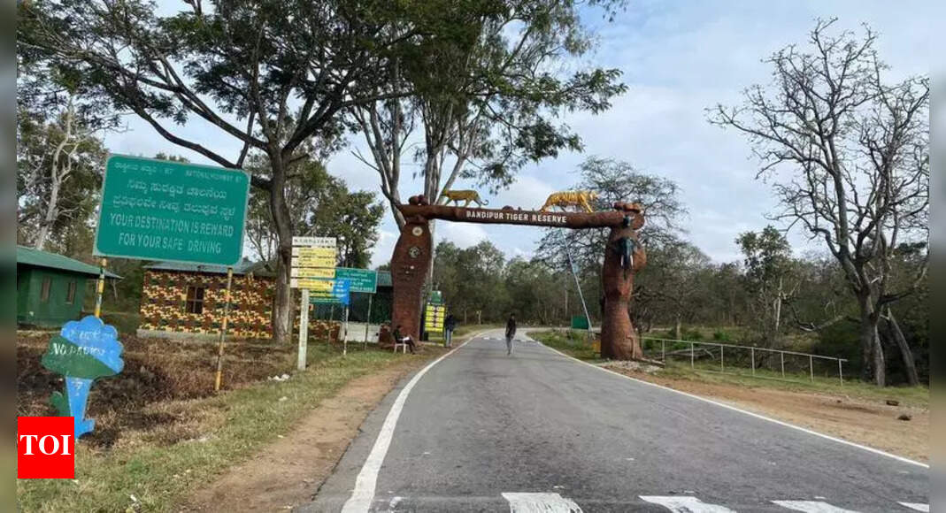 NH-766 night traffic ban must continue, says environmentalists group ...