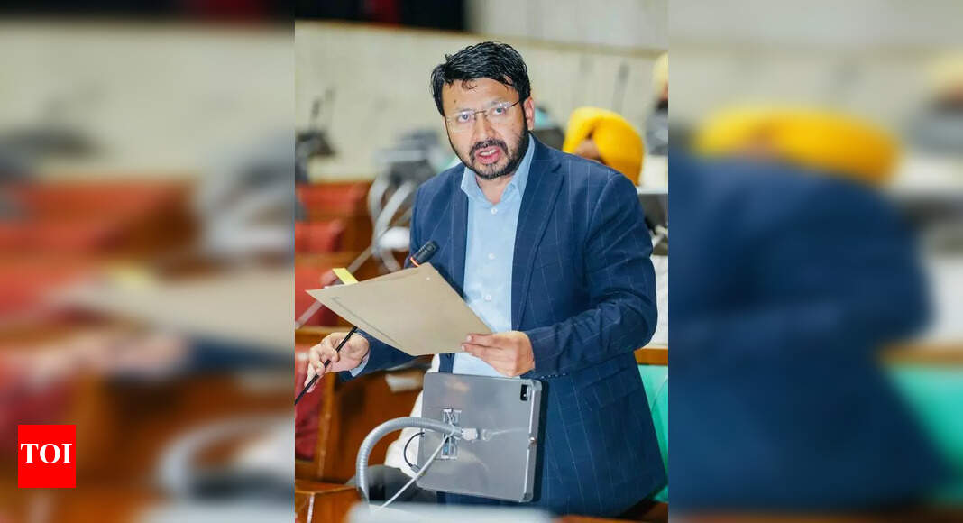 Punjab minister Ravjot Singh orders immediate clean-up of garbage site ...