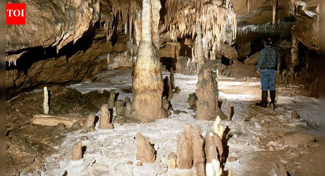 In pics: Grotte de Cussac, a French ancient cave where humans lived ...