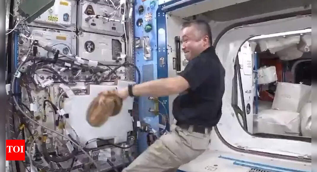 Home run in orbit: Elon Musk shares video of astronaut playing baseball ...