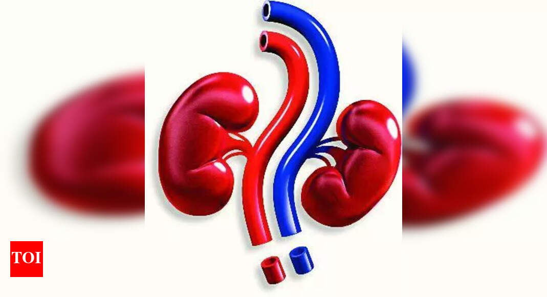 Cops bust kidney racket operated by loan sharks | Kolkata News - Times ...