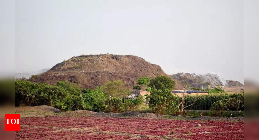 Biomining of Dhapa legacy waste stops | Kolkata News - Times of India