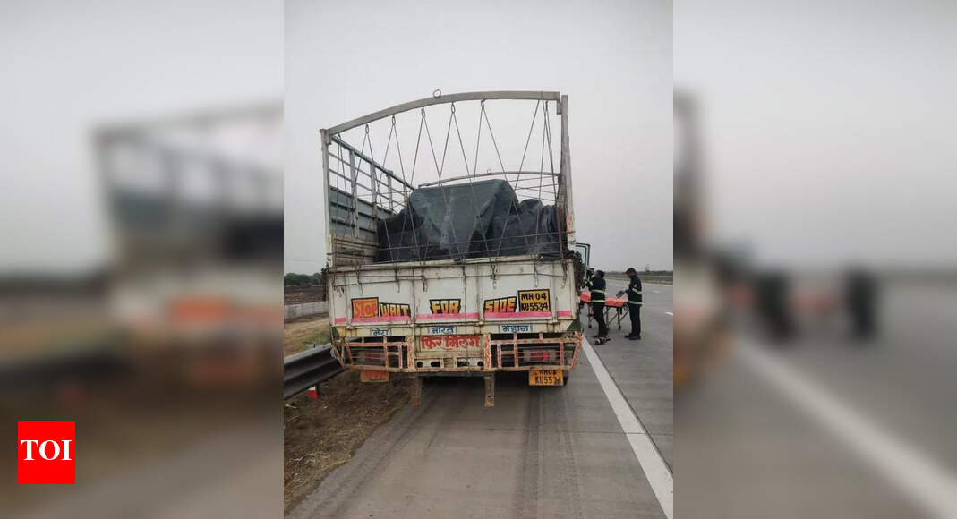 Truck driver & assiastant killed in accident on Samruddhi expressway near Nashik’s Sinnar taluka ...