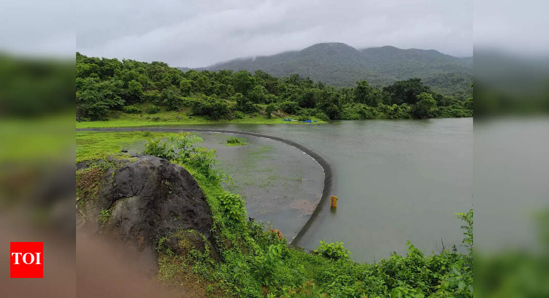 ‘Chapoli dam water enough for 4 months’ | Goa News - The Times of India