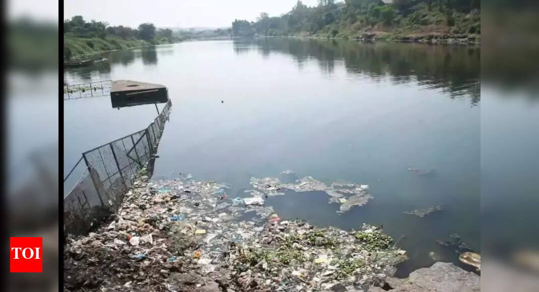 Govt to remove water hyacinth to check Ulhas river pollution | Thane ...