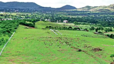 Over Rs 4,500 crore needed for Purandar airport land acquisition: MIDC ...
