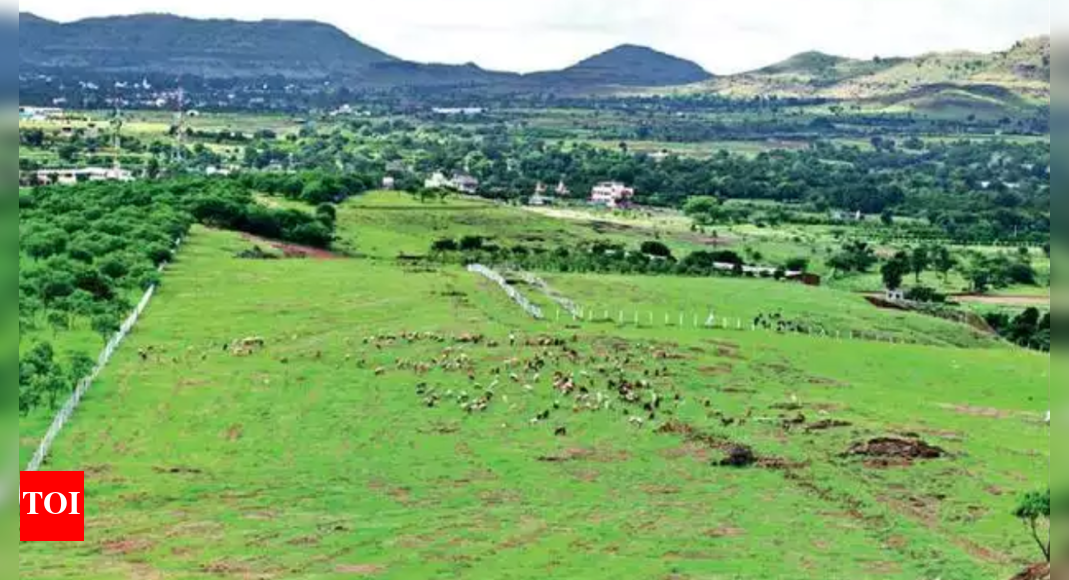 Over Rs 4,500 crore needed for Purandar airport land acquisition: MIDC ...