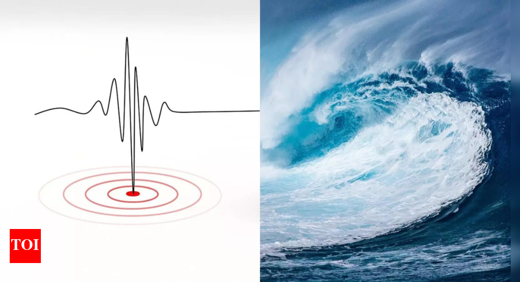 7.1 Magnitude Earthquake: Tsunami warning lifted after 7.1 earthquake ...