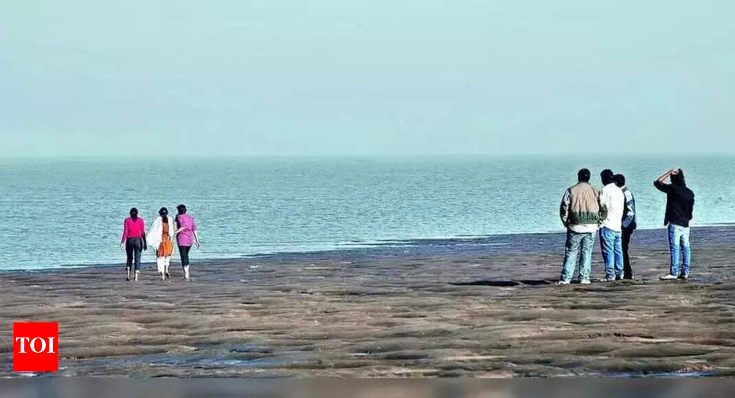 Arrangements for Masula beach festival gains pace in Krishna district ...