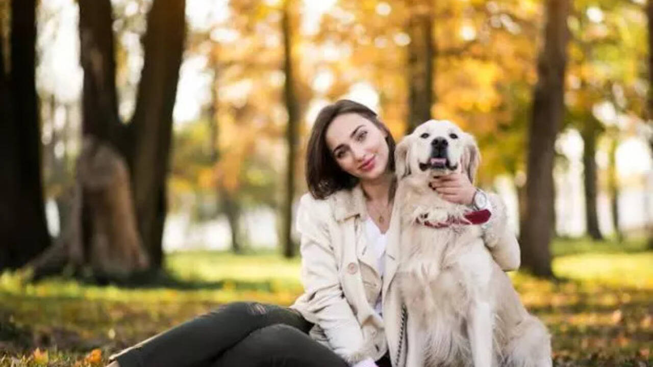 Summer Pet Care: Grooming Tips To Keep Your Pet Comfortable