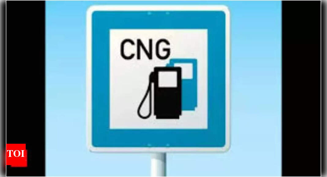 Natural gas to cost more as govt raises price cap after 2 years, jury ...