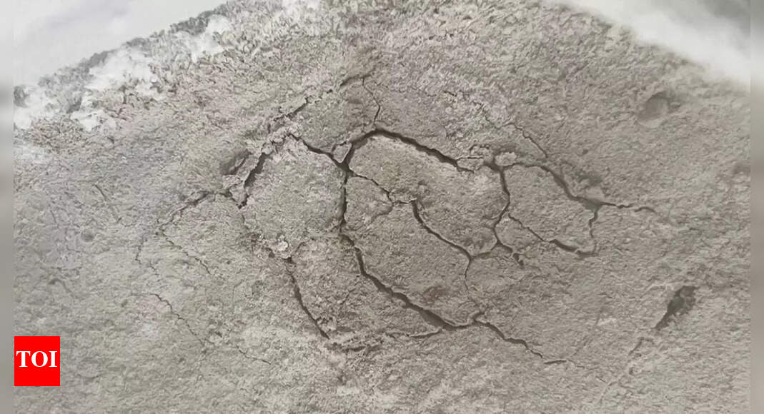 NASA rover discovers mysterious 'spider egg' rock on Mars – scientists ...