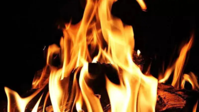 West Bengal: 7 killed, 1 injured in gas cylinder blast in South 24 Parganas | India News - The ...