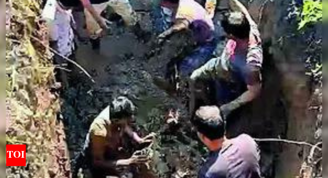 Money, memorial offered for IIT Delhi researcher ’s death in excavation at Gujarat's Lothal ...