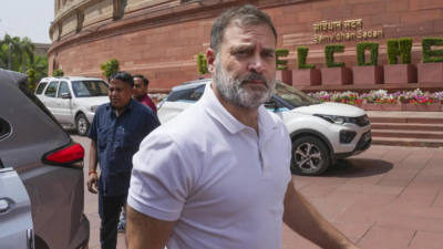 'Faced with a bleak future, yet burdened with pressure': Rahul Gandhi on Kerala’s rising drug ...