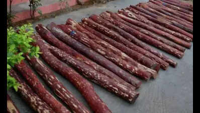 Forest dept seizes 89 RS logs in Rapur | Vijayawada News - The Times of ...