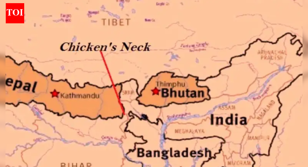 'Chicken’s neck' explained: Why this narrow corridor is crucial for ...
