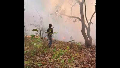 Wildfire engulfs Mala forest ranges ablaze 5 days after fire ravaged ...