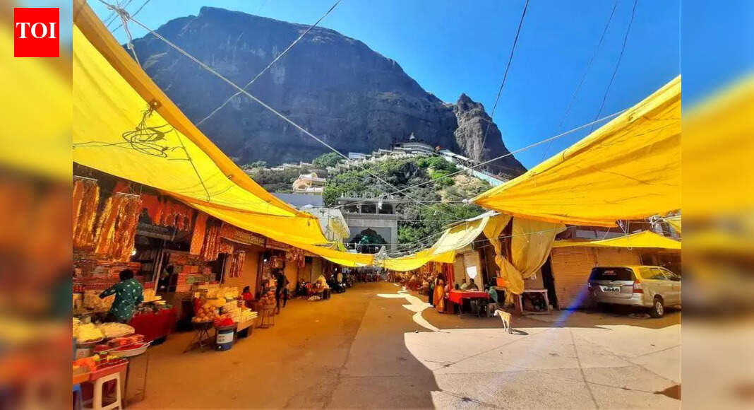 No private vehicles on Saptashrungi Gad during Chaitra Yatra, says ...