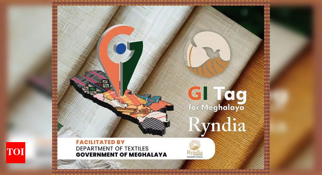 Meghalaya’s Ryndia and Khasi handloom products earn GI tag for ...