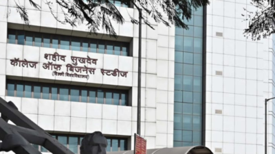 From art to academics: How Shaheed Sukhdev College of Business Studies ...