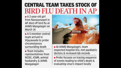 Poultry industry presses for vaccination amid H5N1 cases | Hyderabad ...