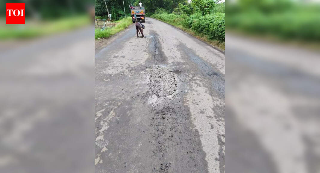Brace for pothole-ridden state highways this monsoon as PWD struggles ...