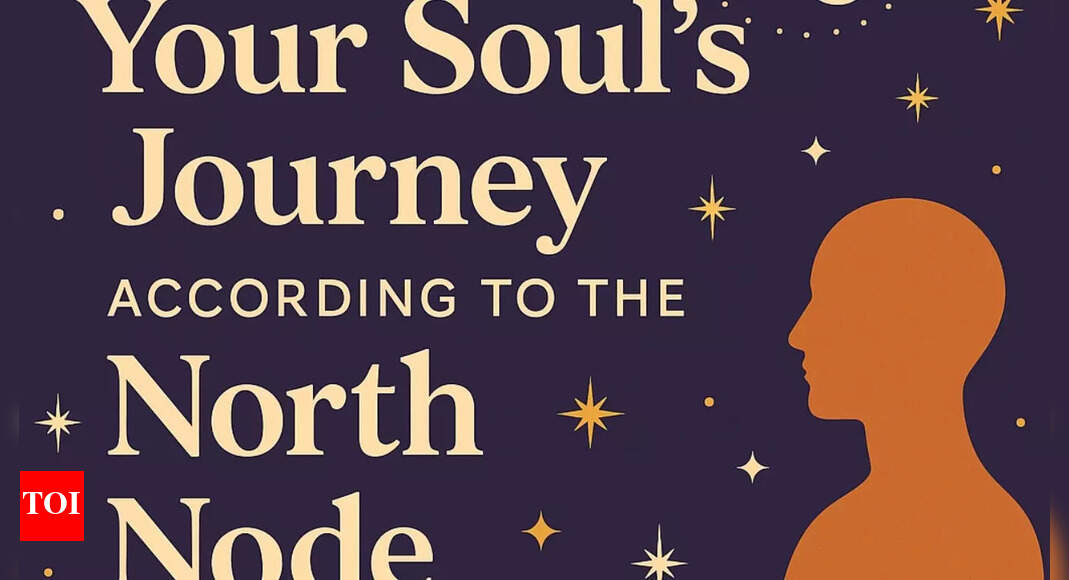 Your soul’s journey according to the North Node: What it says about your life purpose - The ...