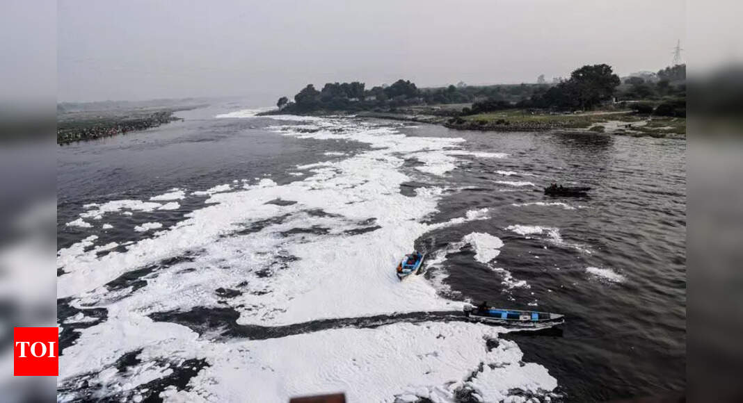 Over 12 lakh sq metres of Yamuna floodplain encroached: DDA informs NGT ...