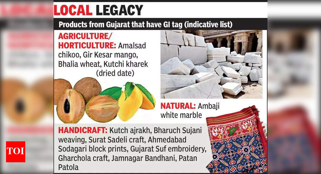 Amalsad chikoo from South Gujarat gets GI tag | Ahmedabad News - The ...