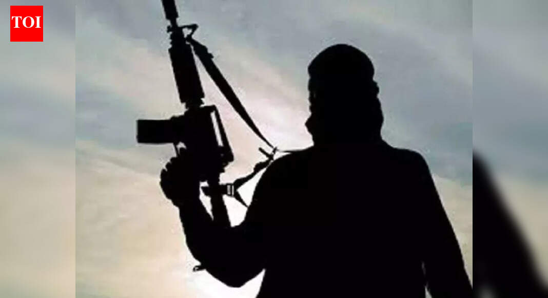 86 Naxals surrender before cops, 5 from T | Hyderabad News - The Times ...