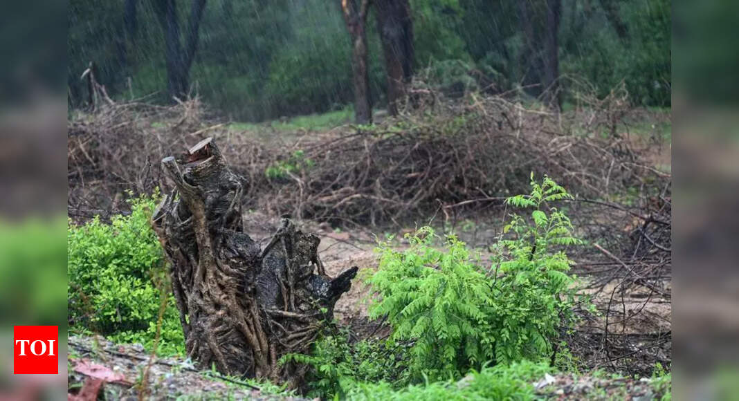 Final notification of Southern Ridge to be done in three phases, NGT ...