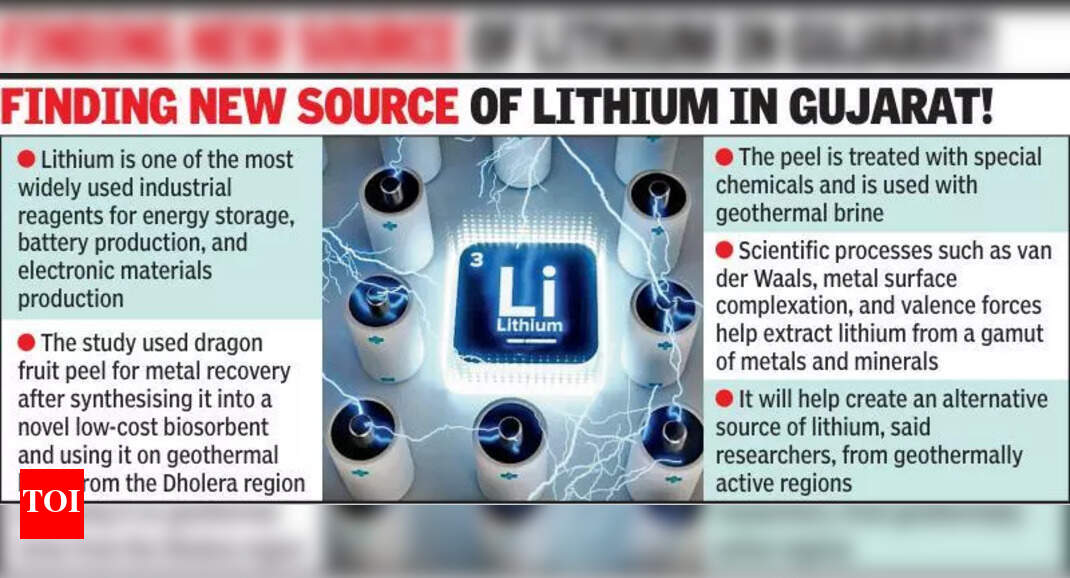 Lithium from brine using dragon fruit peel in Gujarat | Ahmedabad News ...