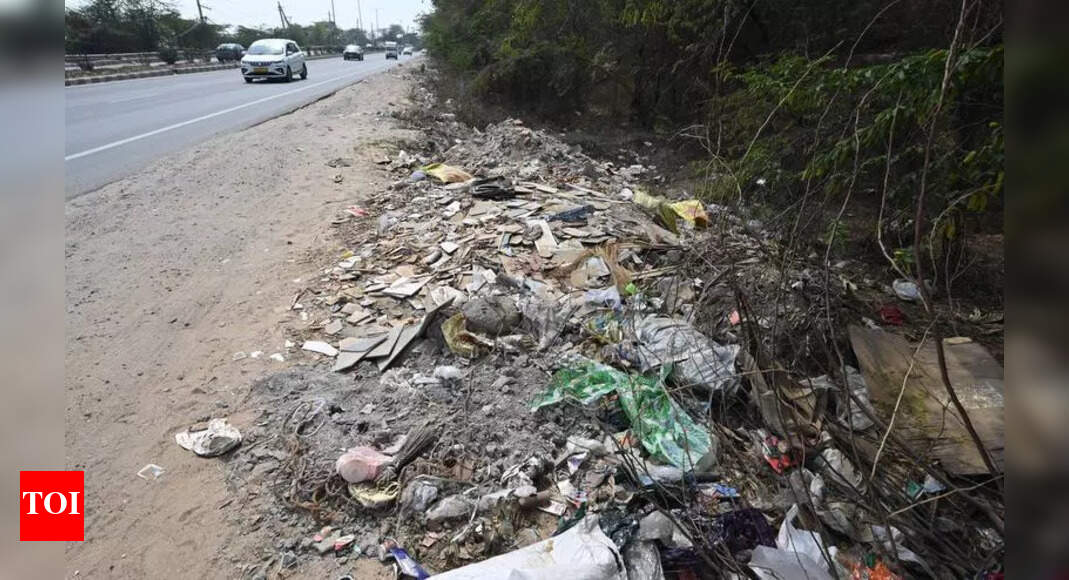 MCD’s sanitation squads to watch waste disposal | Delhi News - The ...