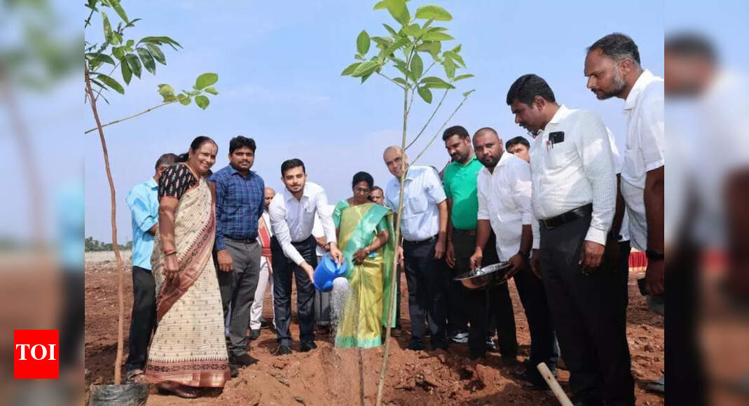 Coimbatore corporation begins plantation drive near Vellalore dump yard ...