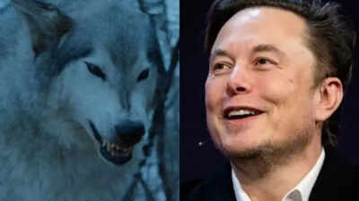 What Elon Musk wants as pet after scientists bring back extinct Dire ...