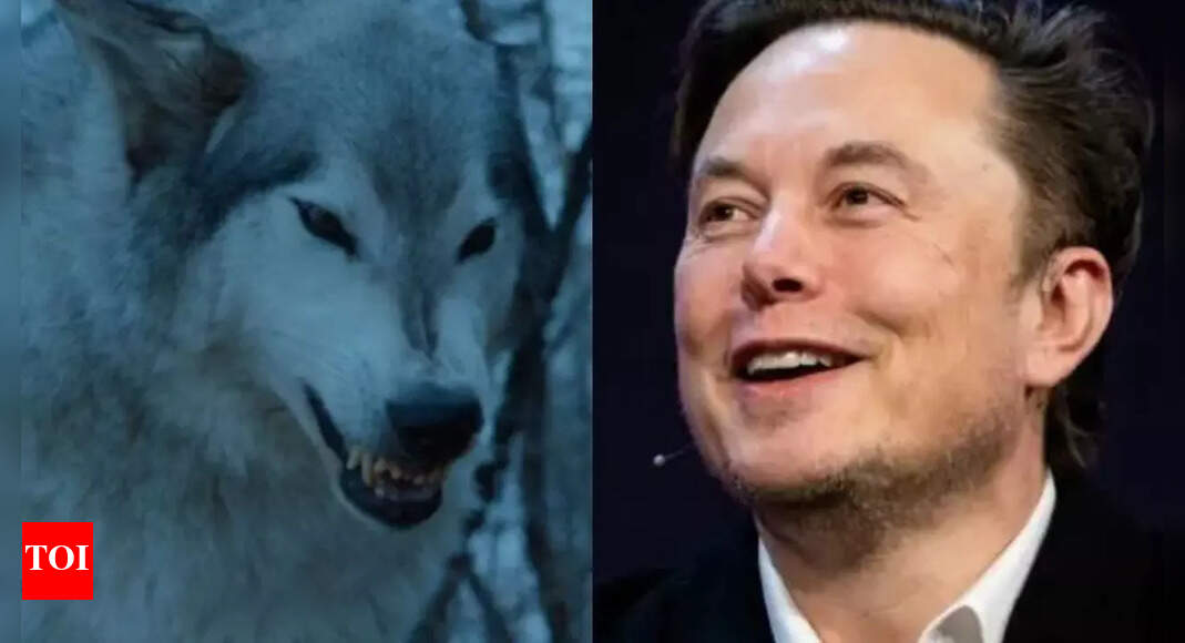 What Elon Musk wants as pet after scientists bring back extinct Dire ...