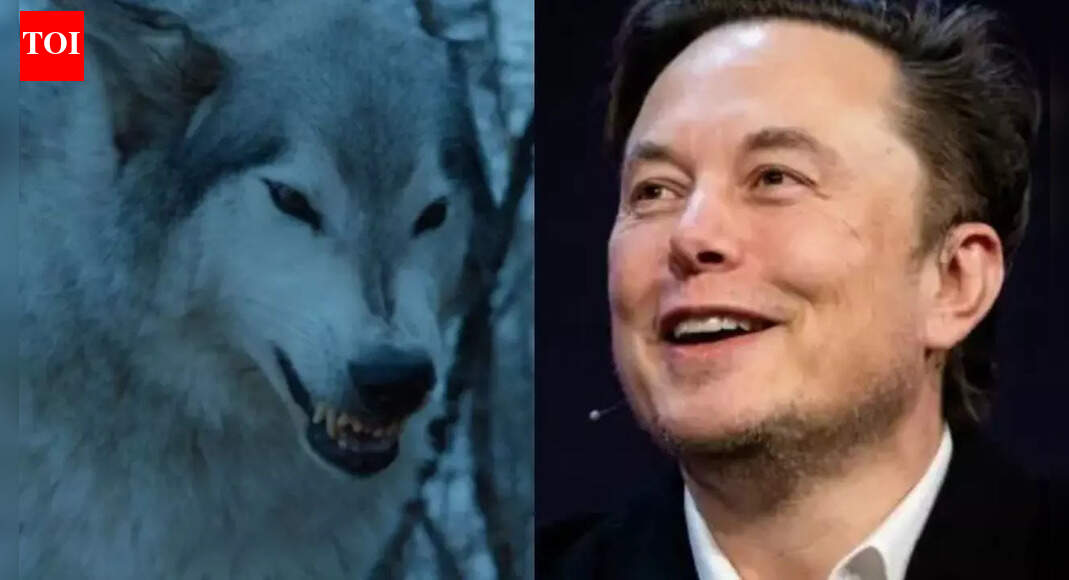 What Elon Musk wants as pet after scientists bring back extinct Dire ...