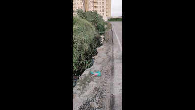 Open drain, dark stretch make this Sholinganallur neighbourhood in ...