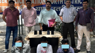 Delhi's cyber cell busts 'digital arrest' racket; 4 arrested for ...