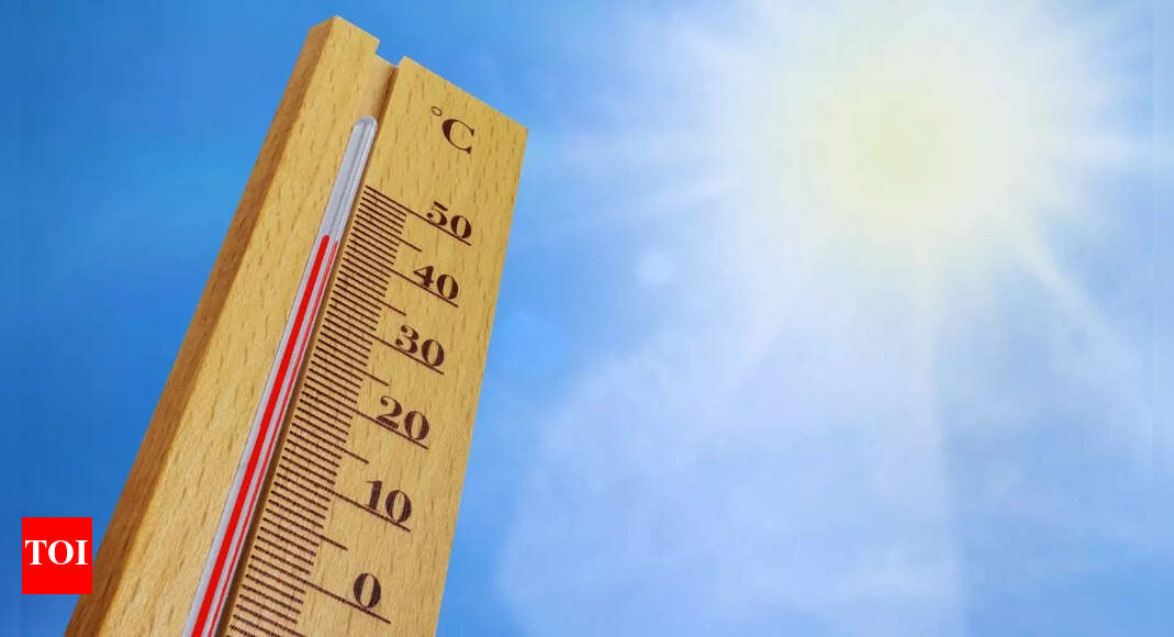 IMD heatwave alert: Delhi braces for scorching heatwave as temperatures soar | - The Times of India