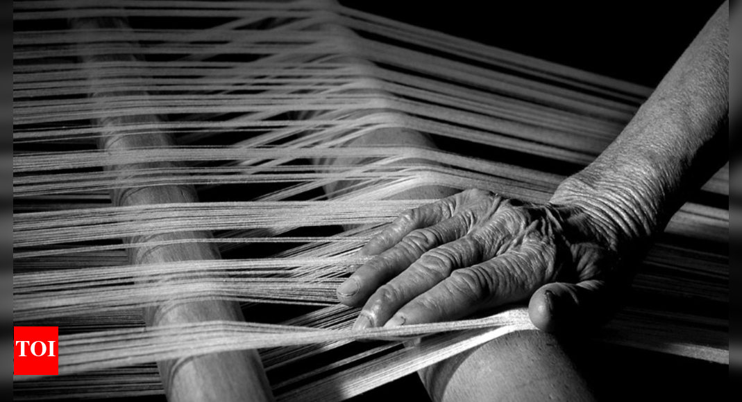 5 ways to recognise an original handloom cotton saree | - The Times of ...