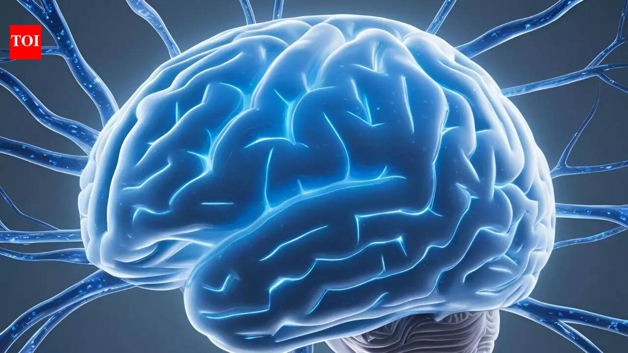 7 animals that function without a brain
